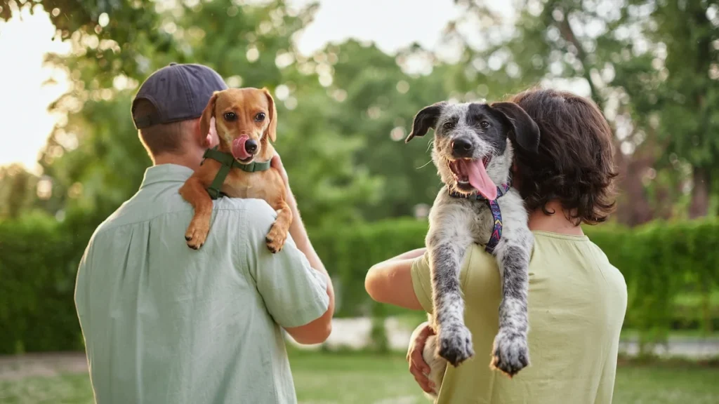 5,000+ Female Dog Names 2026: Cute, Unique, Strong, Popular & Trending ...